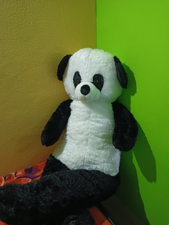 Sam Simon, 24, India