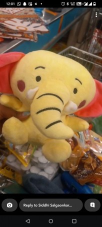 Harry Cool, 26, India