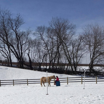 Caleb Broschart, 18, United States